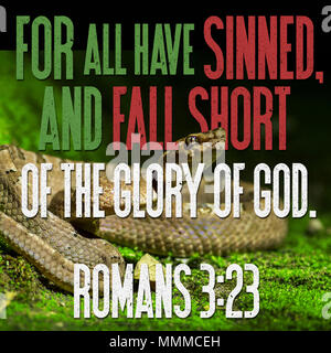 For all have sinned, and fall short of the glory of God. Romans 3:23 ...