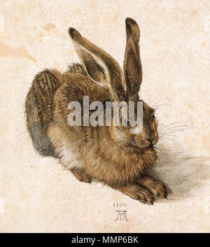 Albrecht Dürer - Young W Stock Photo - Alamy