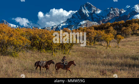 OCT 4, 2017, RIDGWAY COLORADO - Older Cowboy, Howard Linscott , leads ...