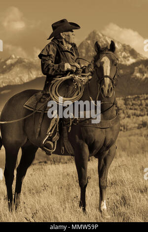 OCT 4, 2017, RIDGWAY COLORADO - Older Cowboy, Howard Linscott , leads ...