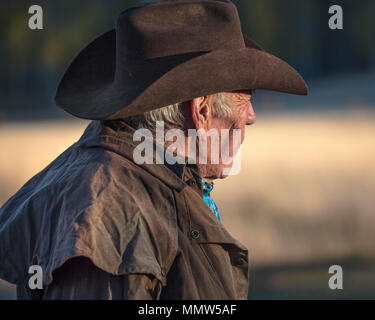 OCT 4, 2017, RIDGWAY COLORADO - Cowboy, Howard Linscott looks out over ...