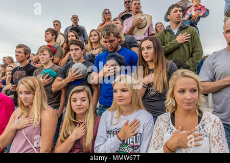JULY 22, 2017 NORWOOD COLORADO - Cowboys ride and rope cattle during ...
