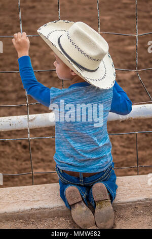 JULY 22, 2017 NORWOOD COLORADO - Cowboys ride and rope cattle during ...