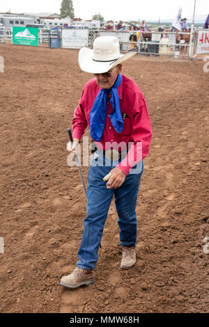 JULY 22, 2017 NORWOOD COLORADO - Cowboys ride and rope cattle during ...