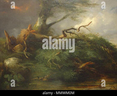 Coignet oak and reed Stock Photo - Alamy