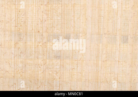 Papyrus surface. Material similar to thick paper, used in ancient time ...