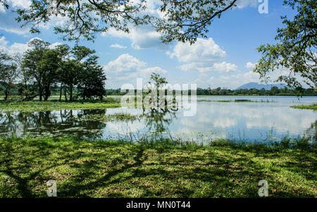 Habarana Lake, Habarana in the Anuradhapura District of Sri Lanka Stock ...