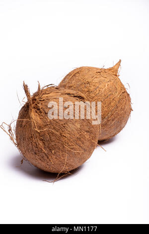 Two big brown whole coconuts close up copy space isolated on white ...