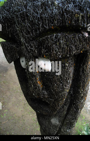 Tiki tree head, Pacific Harbour, Fiji Stock Photo - Alamy