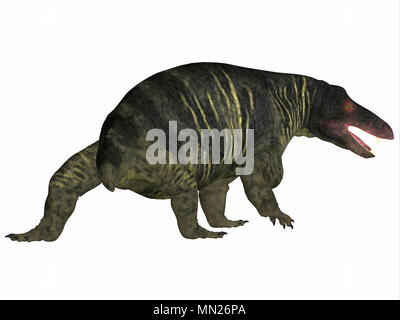 Jonkeria Dinosaur on White - Jonkeria truculenta was an omnivorous ...