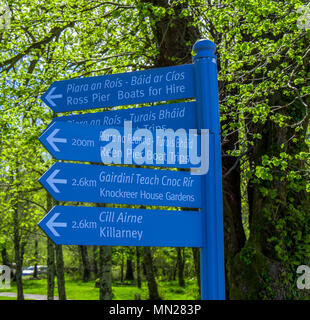 Direction signs at Killarney National park Stock Photo - Alamy