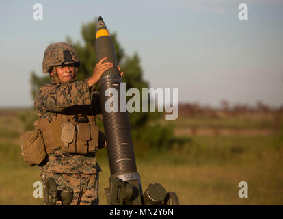 U.S. Marines fire an M327 120mm towed mortar system during a ...