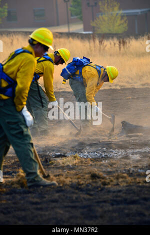 Fire brigade students during a training mission in a fire simulation ...