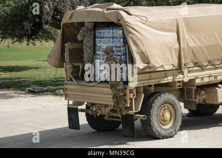 Soldiers from the 111th Multifunctional Medical Battalion, Texas Army ...