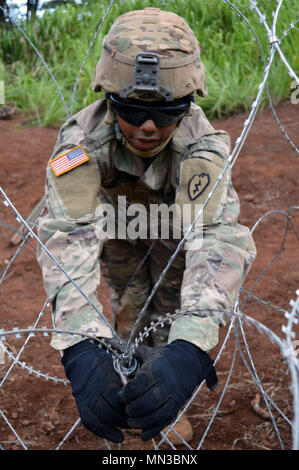 Pfc. Cameron Manuel, a combat engineer to the 29th Brigade Engineer ...