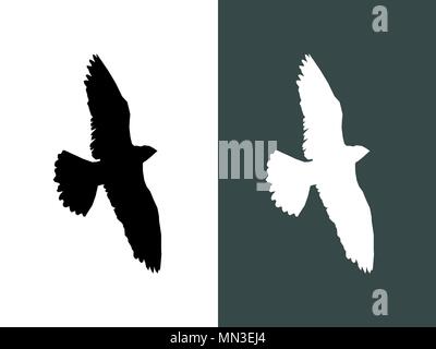 Sad crow. Cartoon raven bird character. Vector illustration isolated on ...