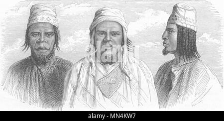 french west africa d'jallonke sori ibrahima pure blood foulah Fula ...