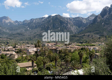 SPAIN Mallorca, Soller, farming in the mountains, orange trees ...