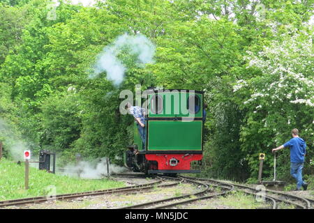 A 90hp green-coloured steam train called Pedemoura was doing test runs ...