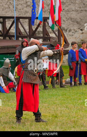 Medieval infantry archery show by members of The Knightly Order of St ...
