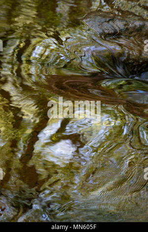 Reflections in May Beck near Falling Foss, Whitby, North Yorkshire ...