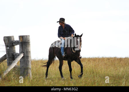 A cowboy looking back while riding his horse Stock Photo - Alamy