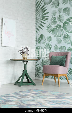 Monstera plant in a pot with bright green leaves placed on the table in ...