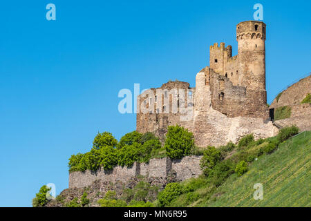 Castle Ruin Ehrenfels Near Rudesheim, Rheingau, Hesse, Germany Stock ...