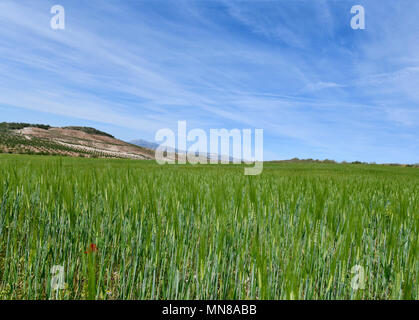 A beautiful shot of the landscape of Sierra de Gredos Natural Park ...