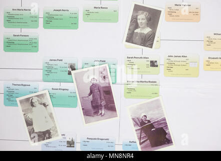Family History charts Stock Photo - Alamy