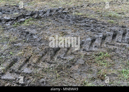 tractor track in a field grass at the sunset Stock Photo - Alamy