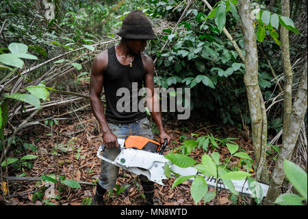 ANGOLA Calulo, old german coffee plantation, deforestation, lumberman ...