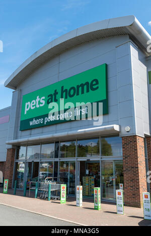Pets at Home pet shop and vets sign, Southend on Sea, Essex. Pet Stock ...
