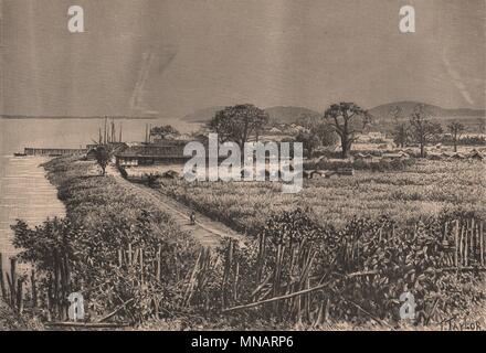 Boma. Congo. Congo Basin 1885 old antique vintage map plan chart Stock ...