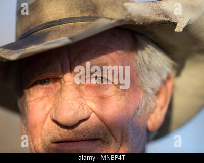 Old Timer Cowboy With Raged Hat Stock Photo - Alamy
