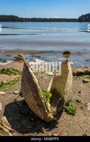 along the shore of Puget Sound at Arcadia Point, Mason County ...