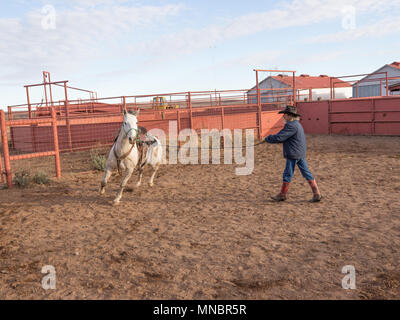 The spurs worn by a ranch hand working in the Leakey, Texas area near ...