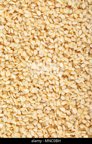 sesame seeds background - full frame Stock Photo - Alamy