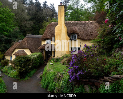 Selworthy cottages Holnicote estate Exmoor Somerset UK Stock Photo - Alamy