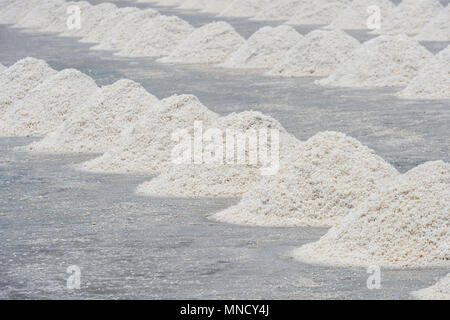 Salt farm from natural Stock Photo - Alamy