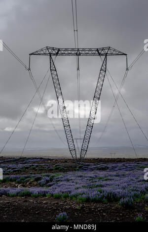 Electricity pylon amidst plants on field against sky, Highlands ...