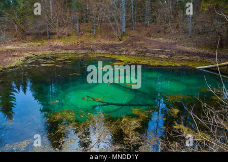 Freshwater springs of Saula, Estonian landmark. Pure water and colored ...