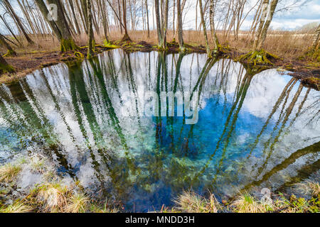 Amazing Puhatu fresh water springs, natural landmark of Estonia Stock ...