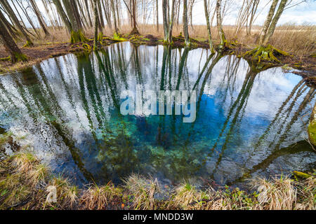 Amazing Puhatu fresh water springs, natural landmark of Estonia Stock ...