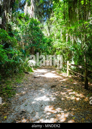Gemini Springs Park n DeBary Florida Volusia County Central Florida ...