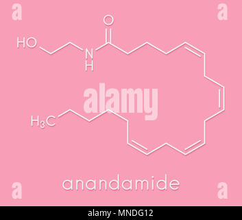 Anandamide endogenous cannabinoid neurotransmitter molecule. Stylized ...