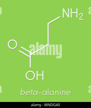 Beta-alanine molecule. Naturally occurring beta amino acid. Precursor ...