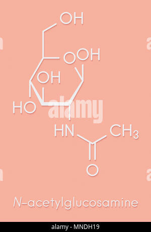 N-Acetylglucosamine (NAG) food supplement molecule. Stylized skeletal ...