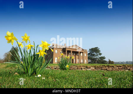 Spring daffodils and English stately home England Uk Stock Photo - Alamy