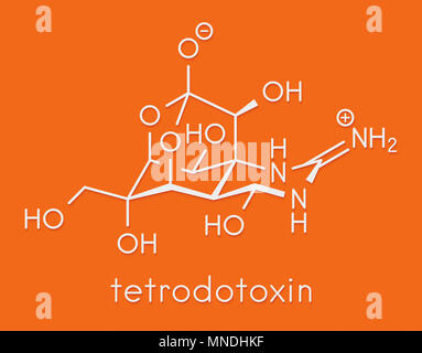 Tetrodotoxin (TTX) pufferfish neurotoxin molecule. Atoms are ...